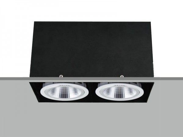 Downlight | TE Lighting Hong Kong