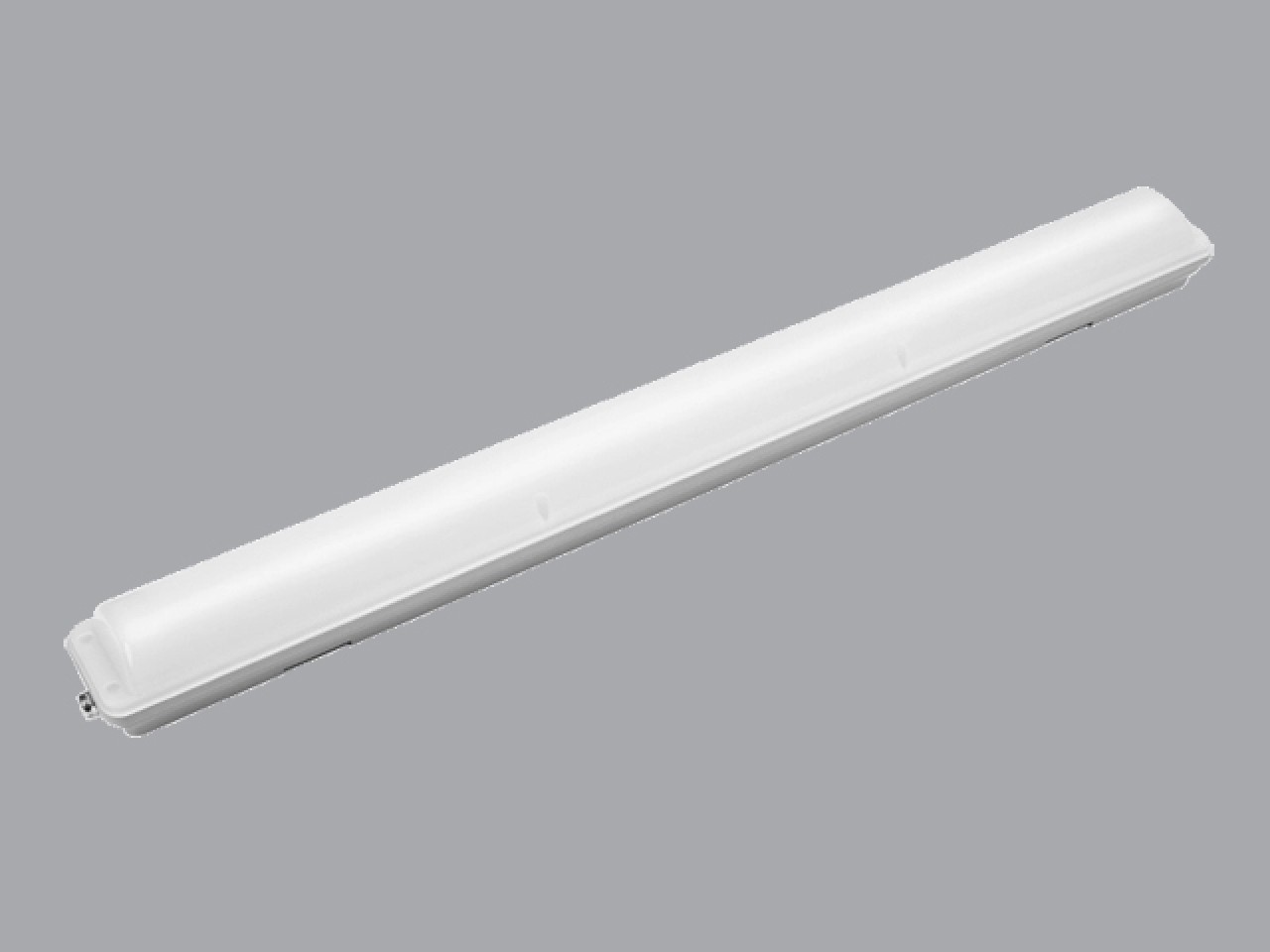 TE IP66 Aluminum Weatherproof LED Batten - TE-AL | TE Lighting Hong Kong